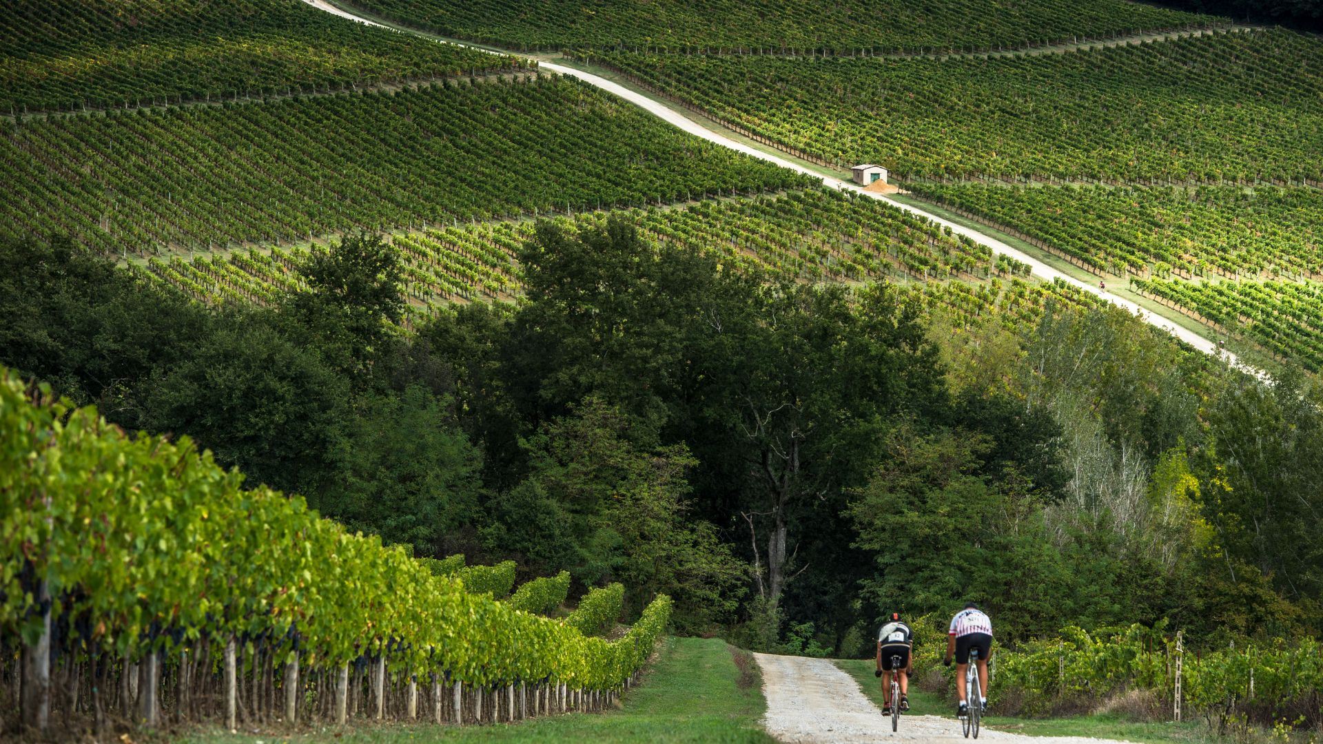 Travel Guide to The Chianti – Tuscany's Famous Wine Region