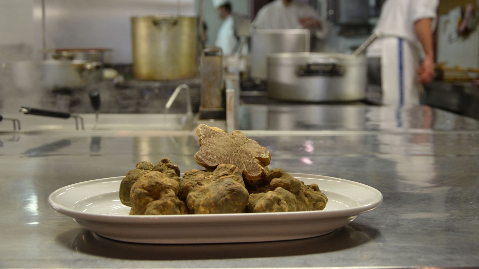 White Truffles in Tuscany – Hunting Season and Festivals