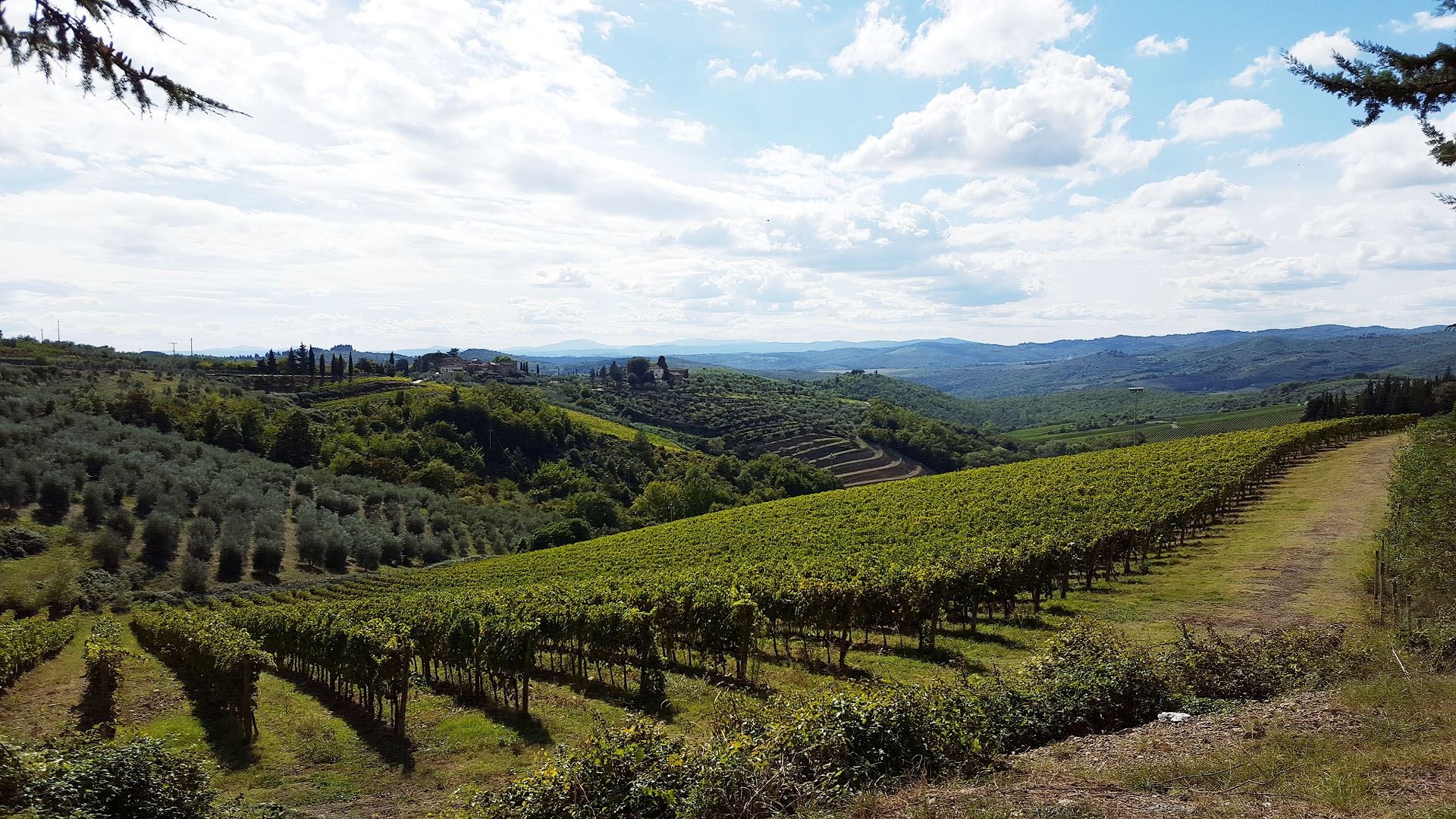 An Insider’s Guide to Siena: Best Things to See & Do