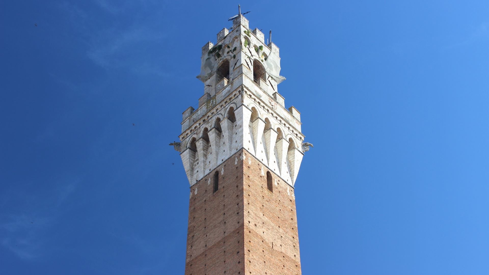 An Insider’s Guide to Siena: Best Things to See & Do