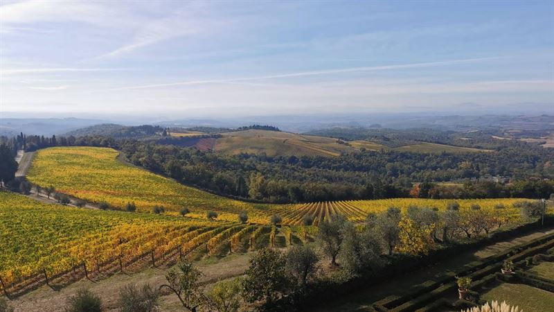 Explore Castellina in Chianti: Insider Tips and Must-See Things to Do
