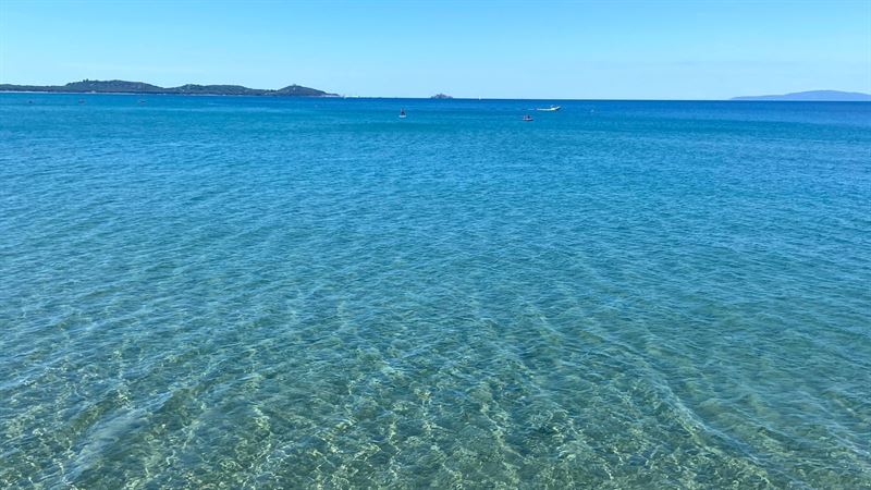 The ultimate insider’s travel guide to Pisa – unique attractions, local ...