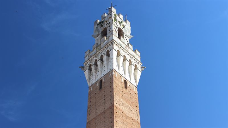 An Insider’s Guide to Siena: Best Things to See & Do