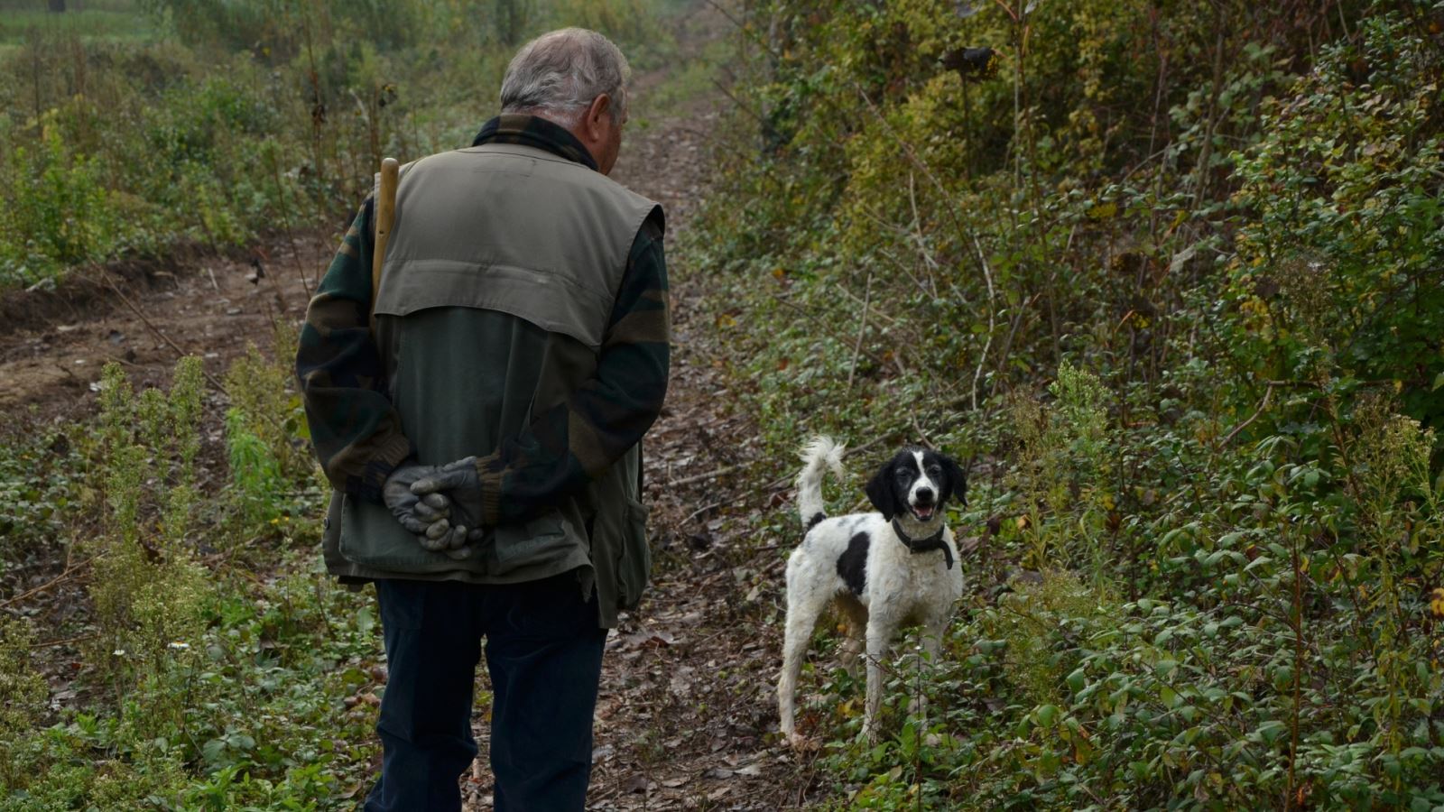White Truffles in Tuscany – Hunting Season and Festivals